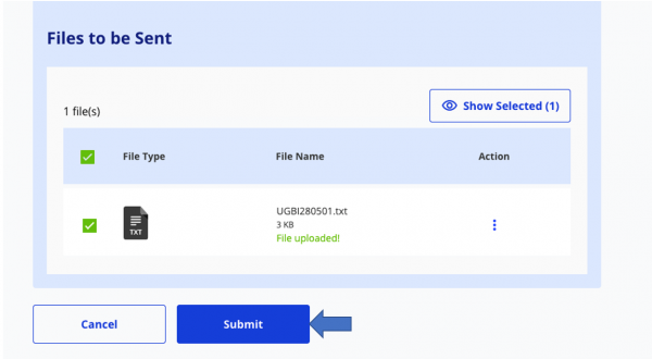 How to Upload Bulk GIRO File to UOB | Carbonate HR